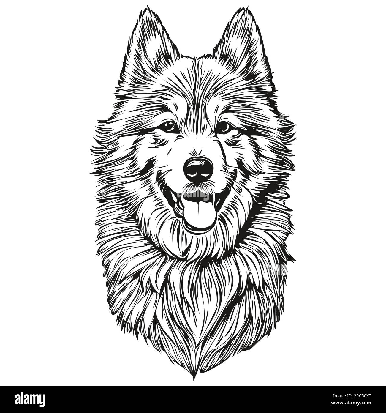 Samoyed dog head line drawing vector,hand drawn illustration with ... Samoyed dog head line drawing vector,hand drawn illustration with ...