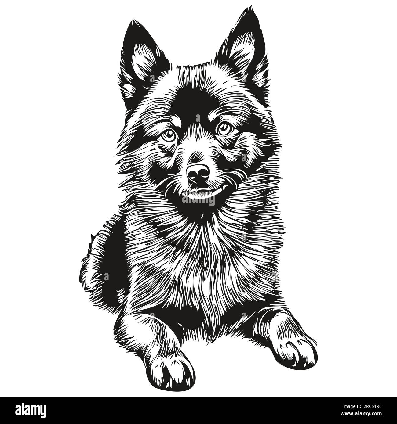 Schipperke Stock Vector Images - Alamy