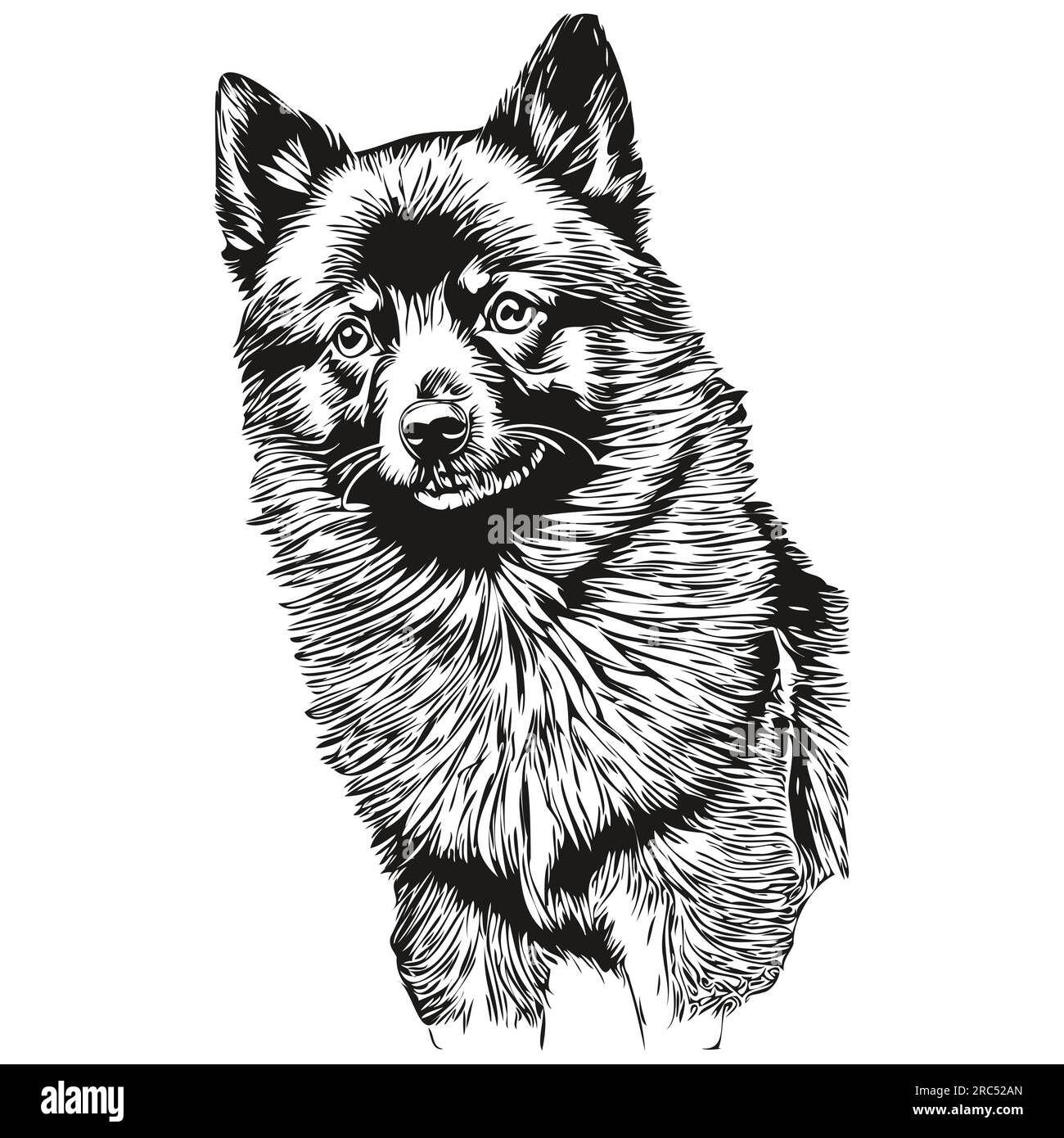 Schipperke Stock Vector Images - Alamy