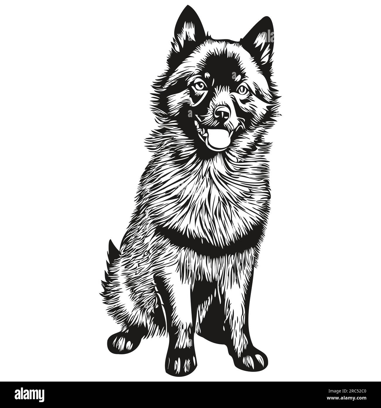 Schipperke Stock Vector Images - Alamy