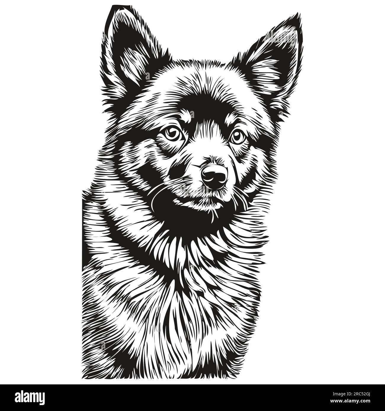 Schipperke Stock Vector Images - Alamy