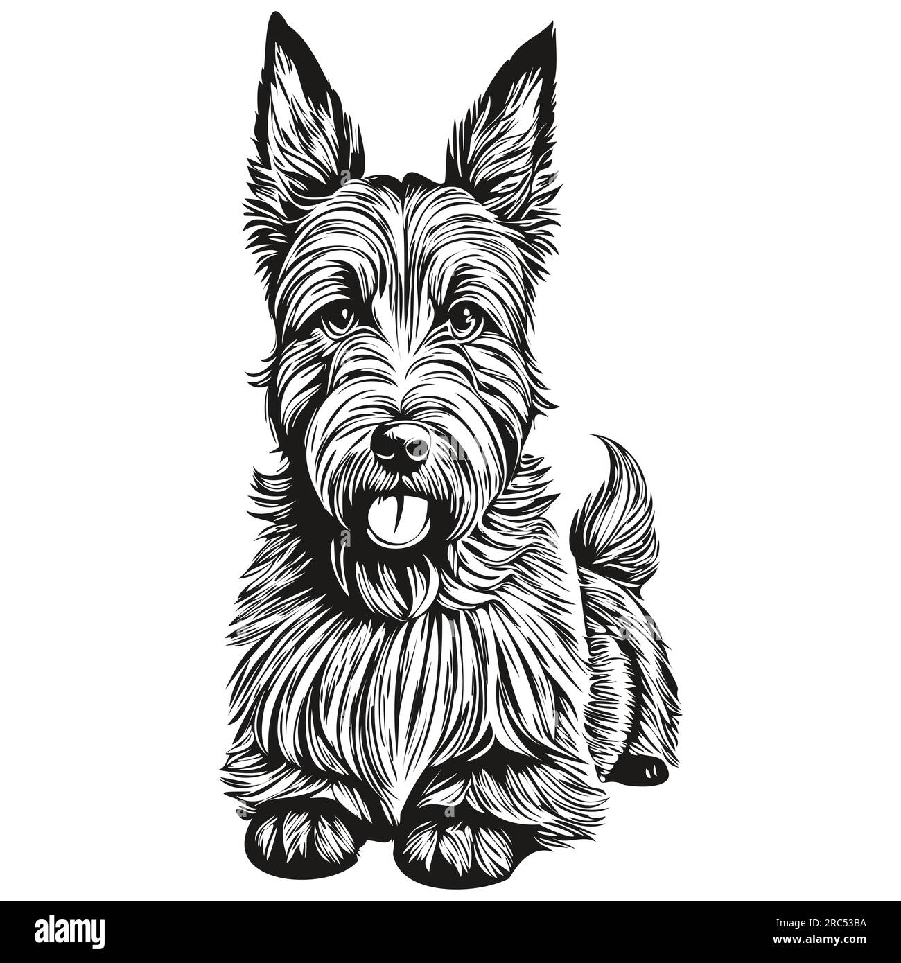 Scottish terrier vector vectors hi-res stock photography and images - Alamy