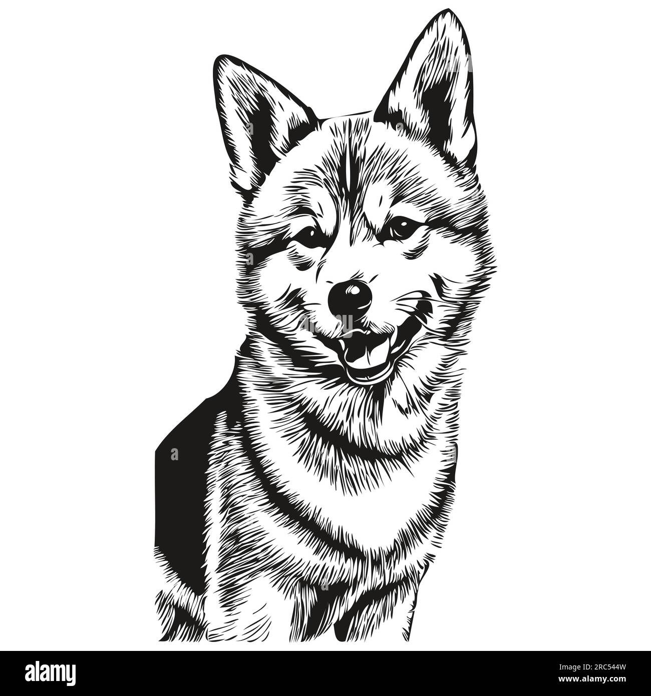Shiba inu white background Stock Vector Images - Alamy