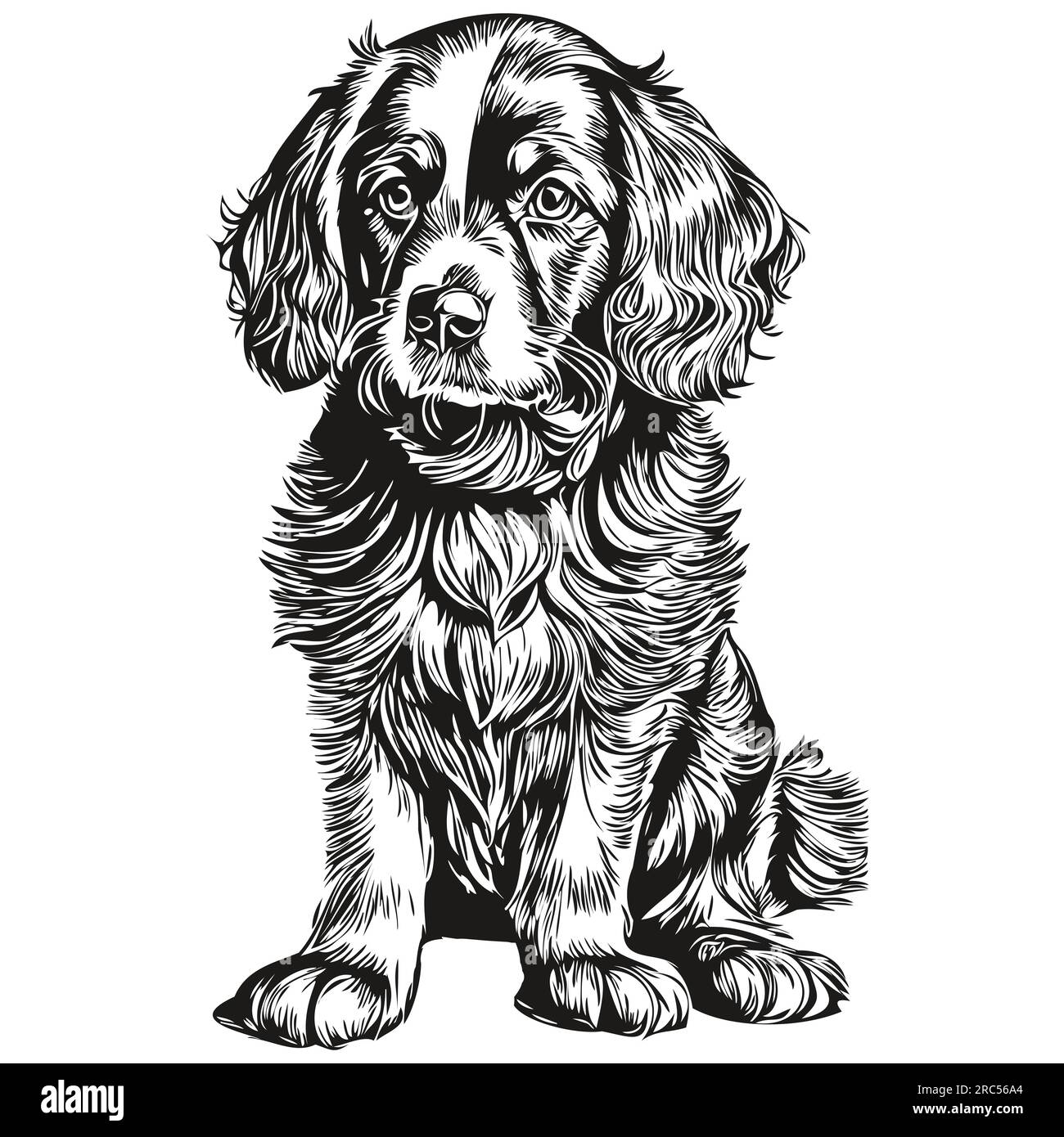 Cocker breed Stock Vector Images - Alamy