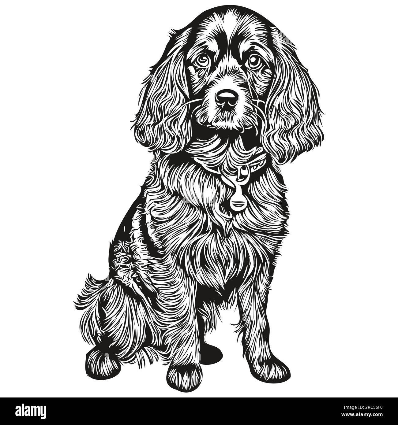 Cocker breed Stock Vector Images - Alamy