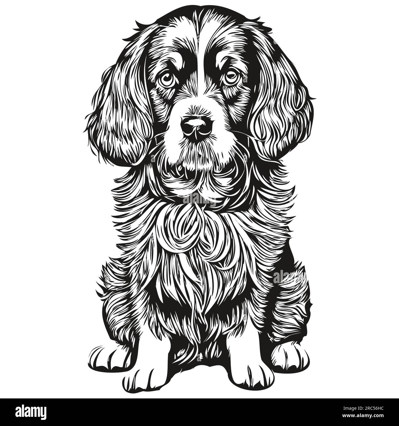 Black cocker spaniel Stock Vector Images - Alamy