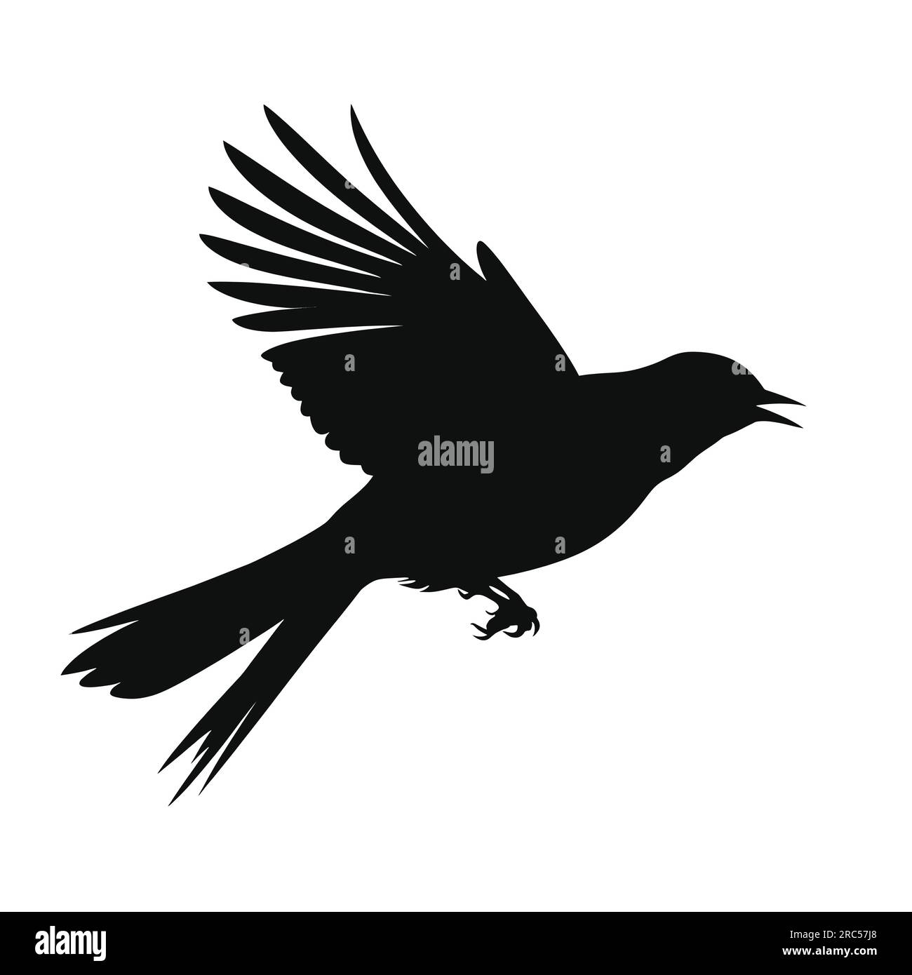 Mockingbird Flying Silhouette