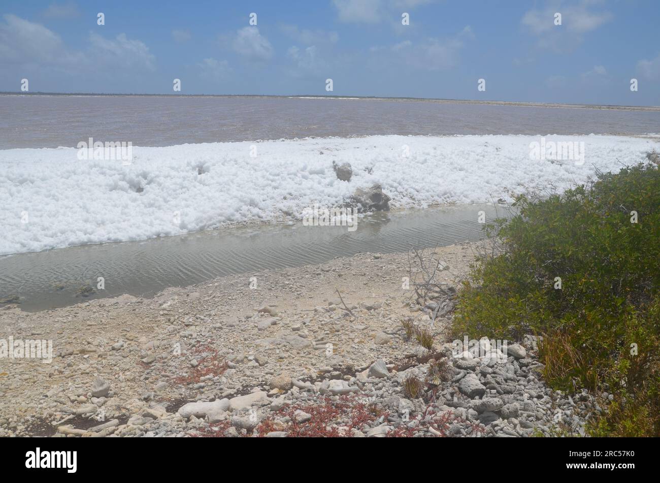 Salinas bonaire hi-res stock photography and images - Alamy