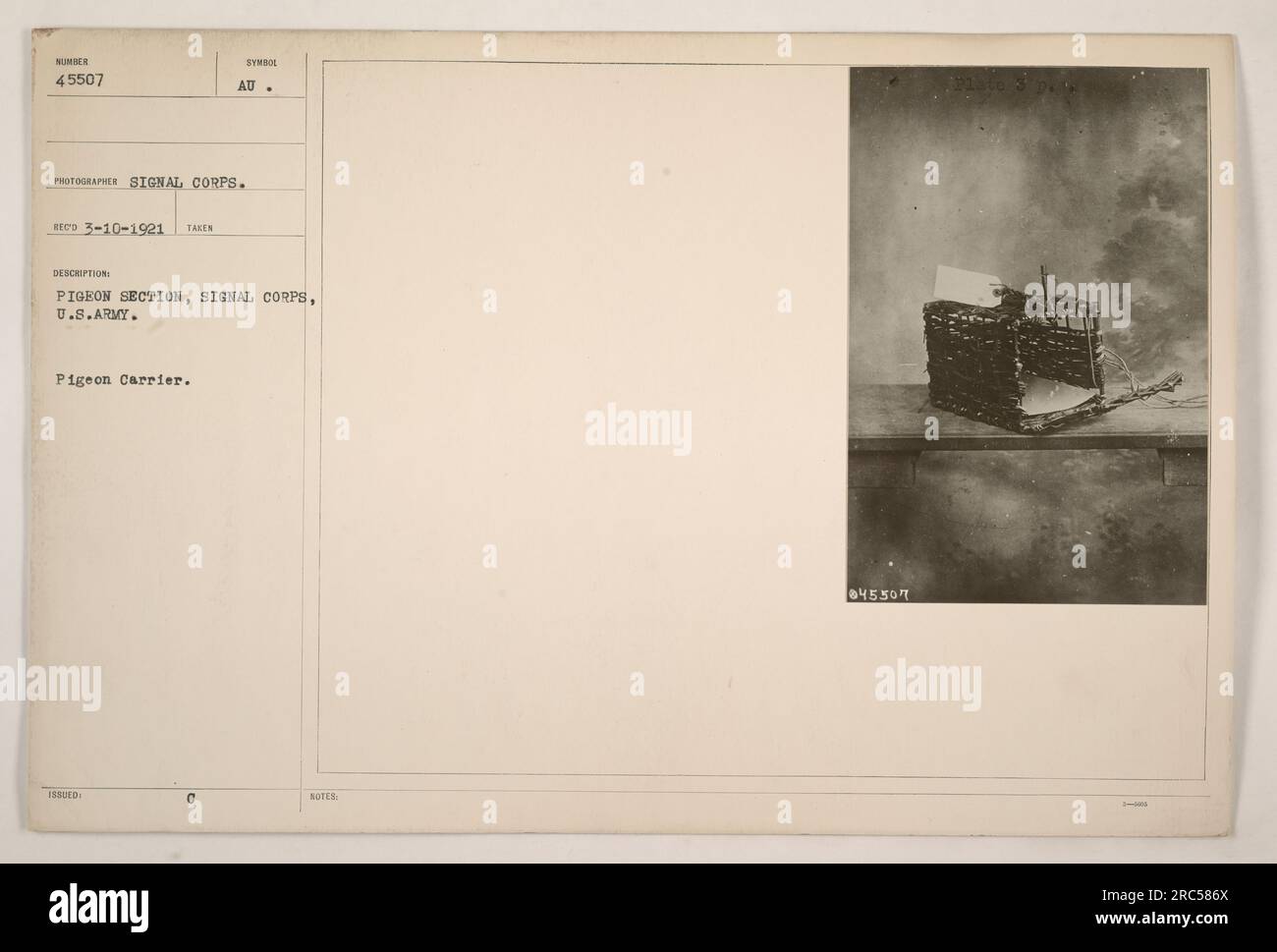 Pigeon identification numbers hi-res stock photography and images - Alamy