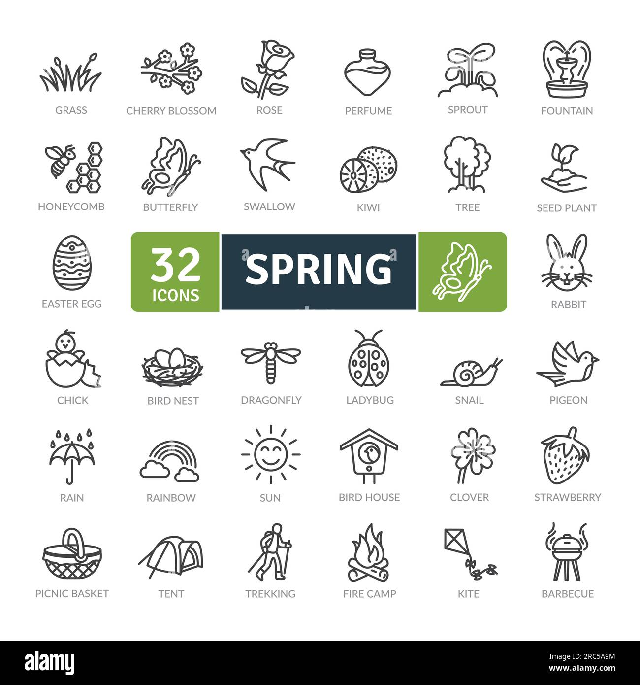 Camp kiwi Stock Vector Images - Alamy