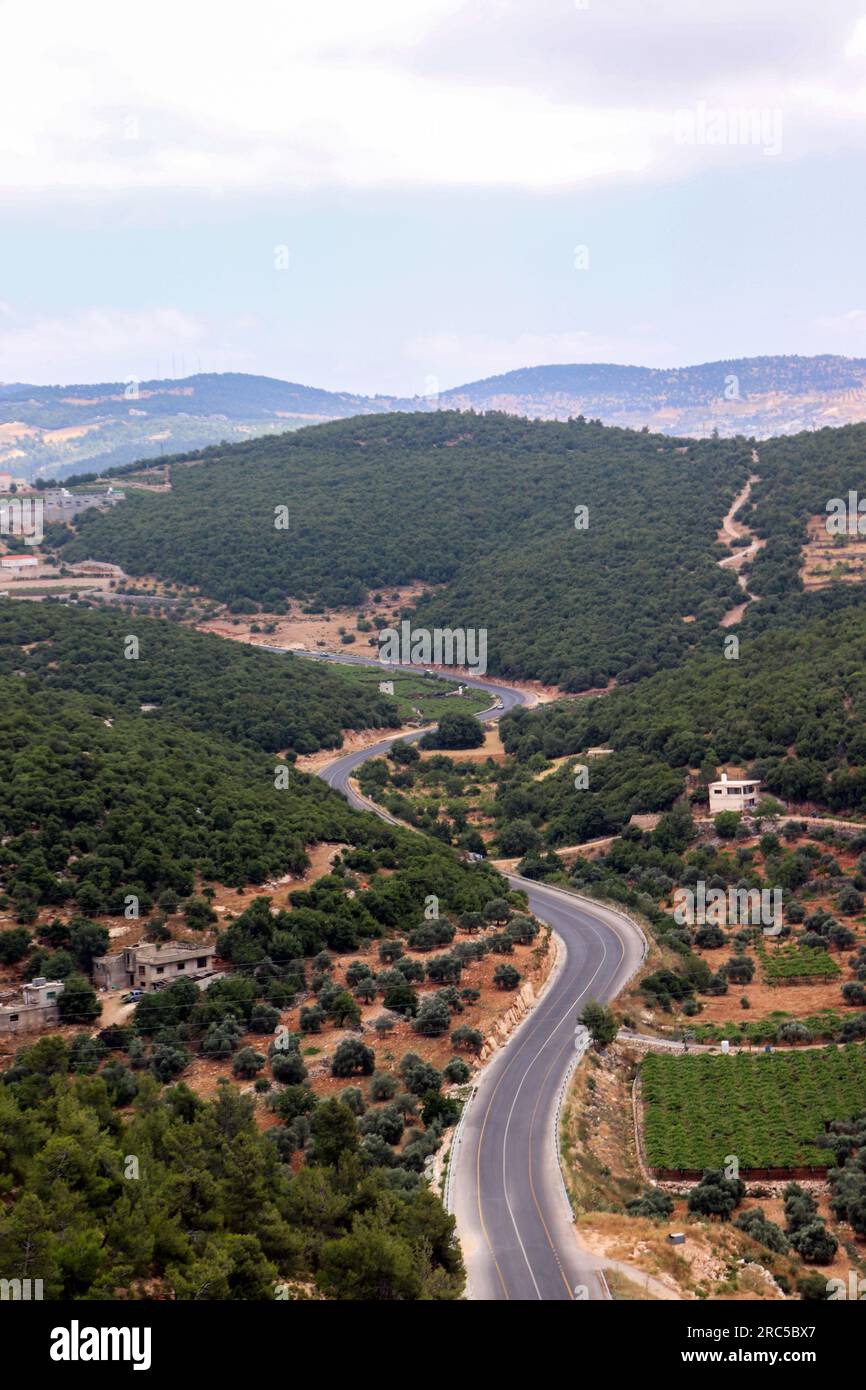 Street among forests mountains and green trees (Ajloun, Jordan) An ...