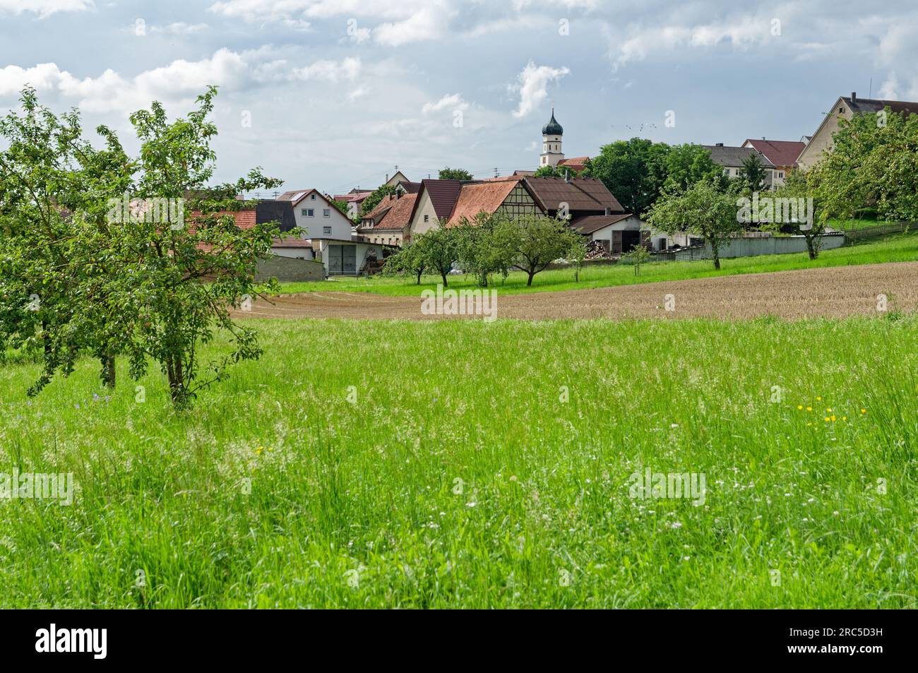 A rural landscape with orchards, in the background a village with a ...