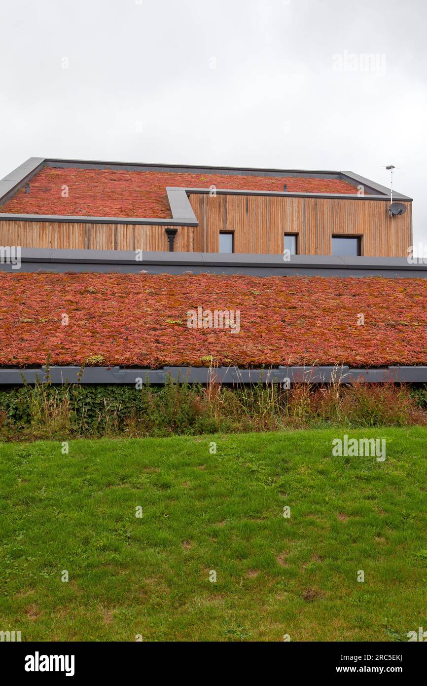 Longcroft at Cubis Bruton, conceived by land artist and architect Mark ...