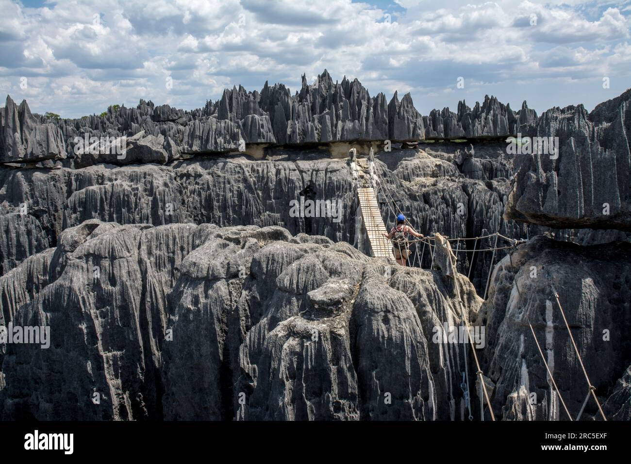 Rock formations and suspension bridge, Reserva natural de Tsingy de ...