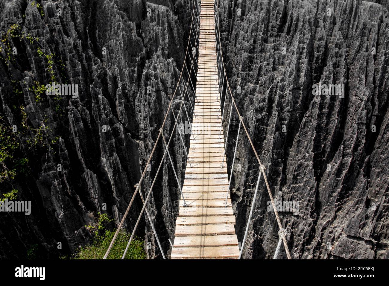 Rock formations and suspension bridge, Reserva natural de Tsingy de ...