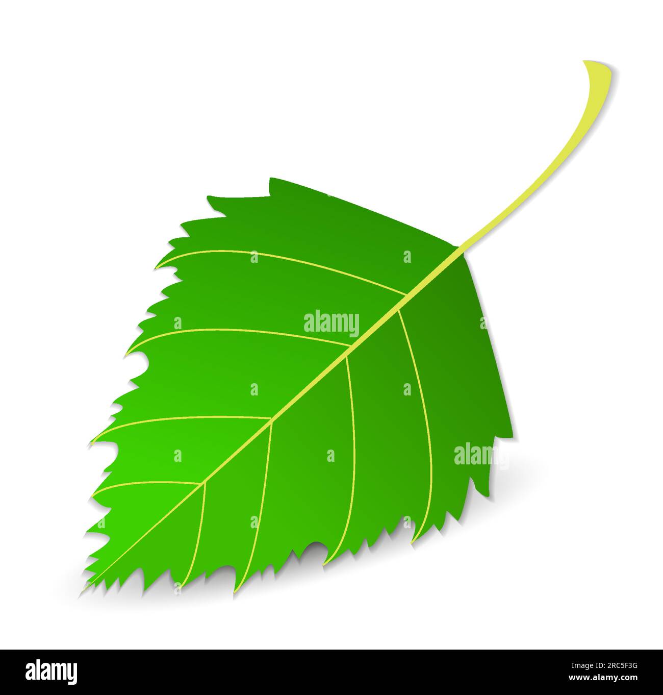 Birch Leaf Designs Clipart