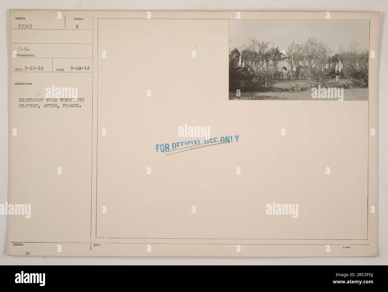 Shrubbery near Bongraine Chateau, Aytre, France. This photograph ...