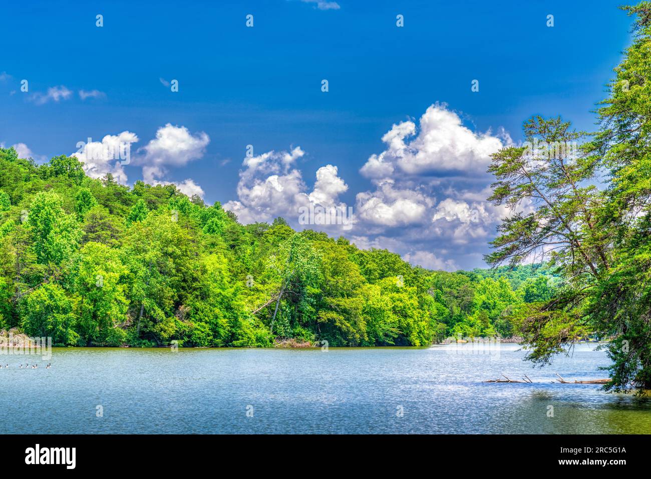 Peaceful River Wallpaper