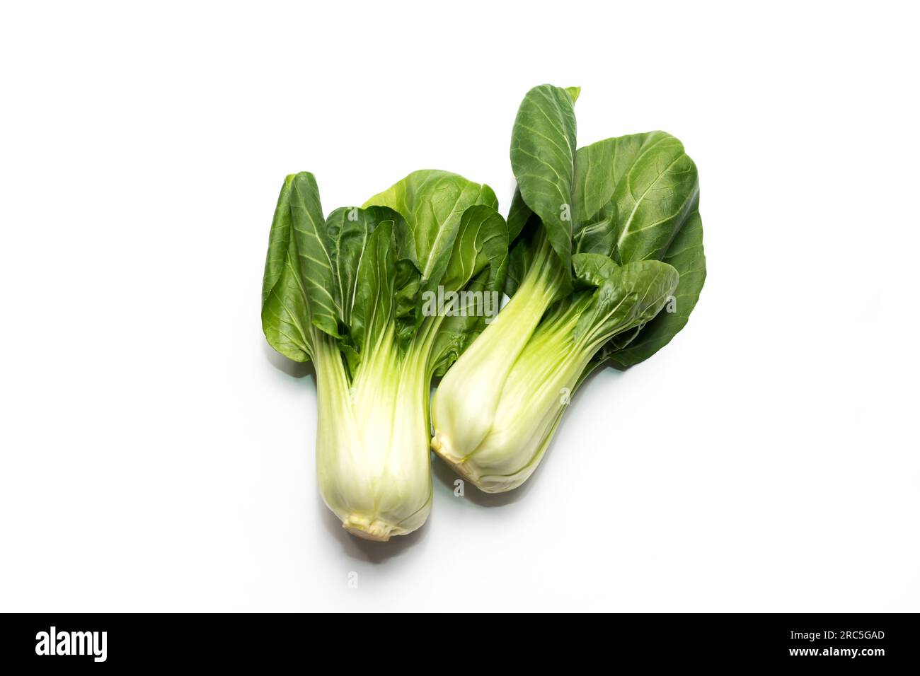 Isolated Fresh Organic Pak Choi, Bok Choy, a Chinese Cabbage, Raw ...