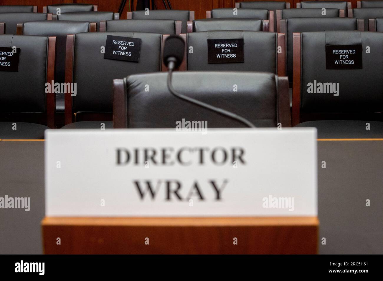 Washington, United States Of America. 12th July, 2023. The witness ...