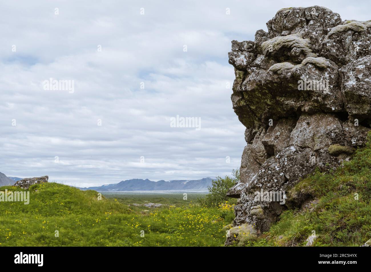 Beautiful nature in Iceland. Scenic Icelandic landscape at cloudy day. Rocky cliff, green grass ...