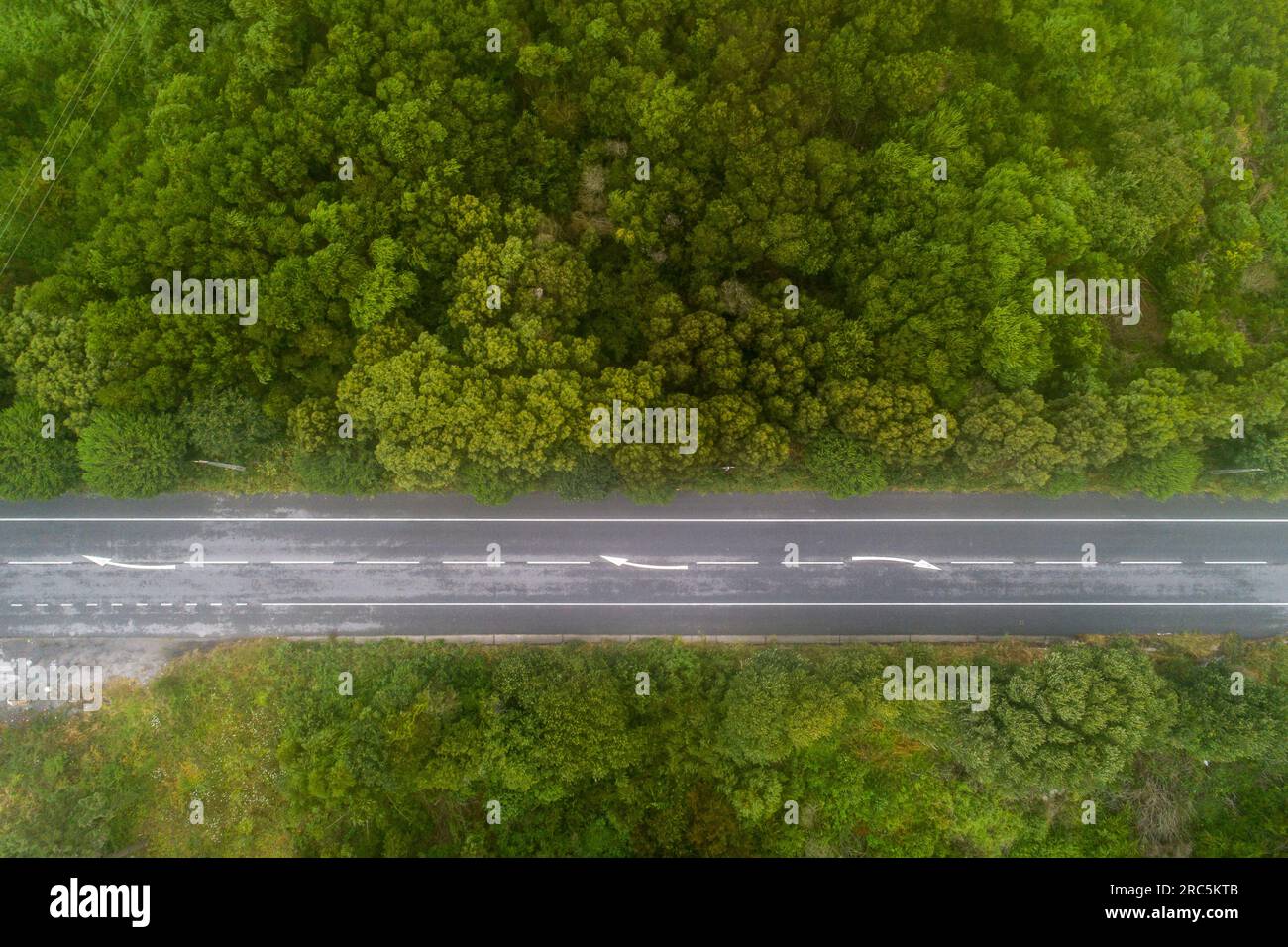 Aerial top view of asphalt road through green forest Stock Photo - Alamy