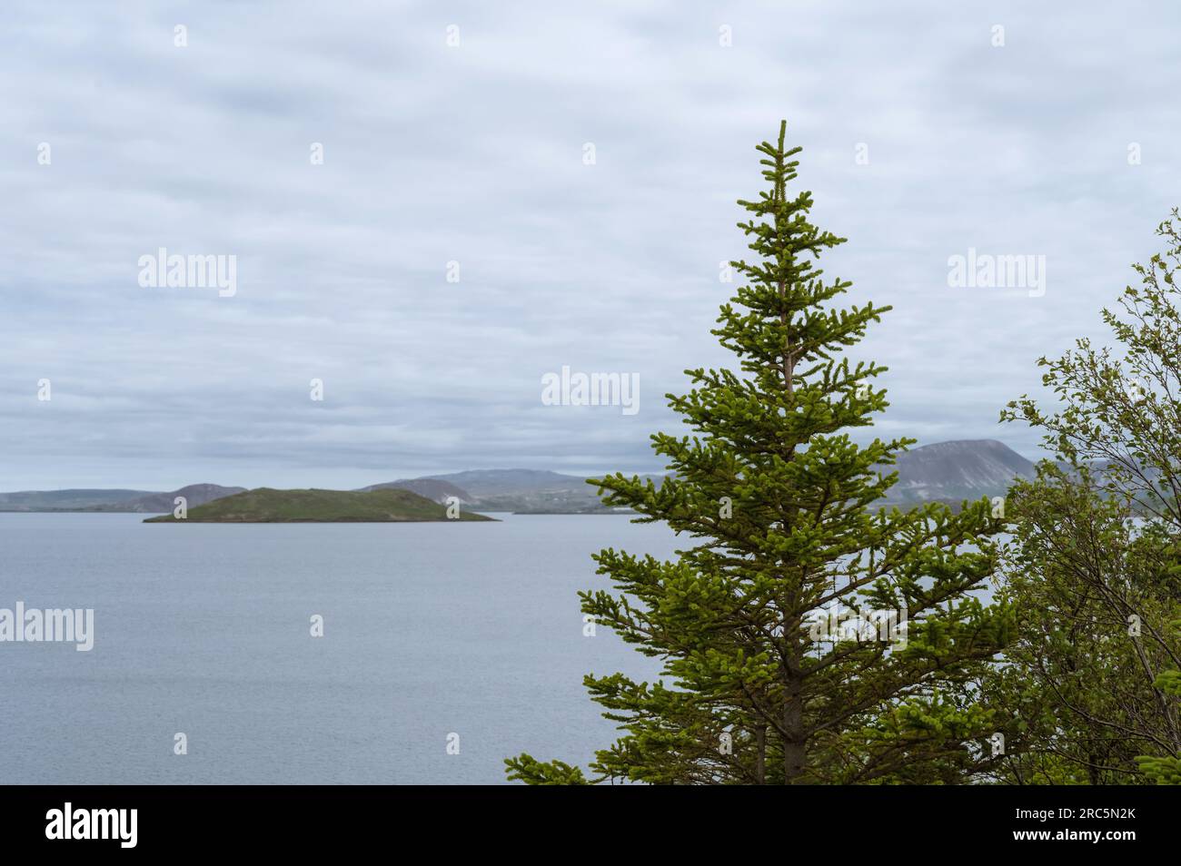Beautiful nature in Iceland. Scenic icelandic landscape. View of lake ...