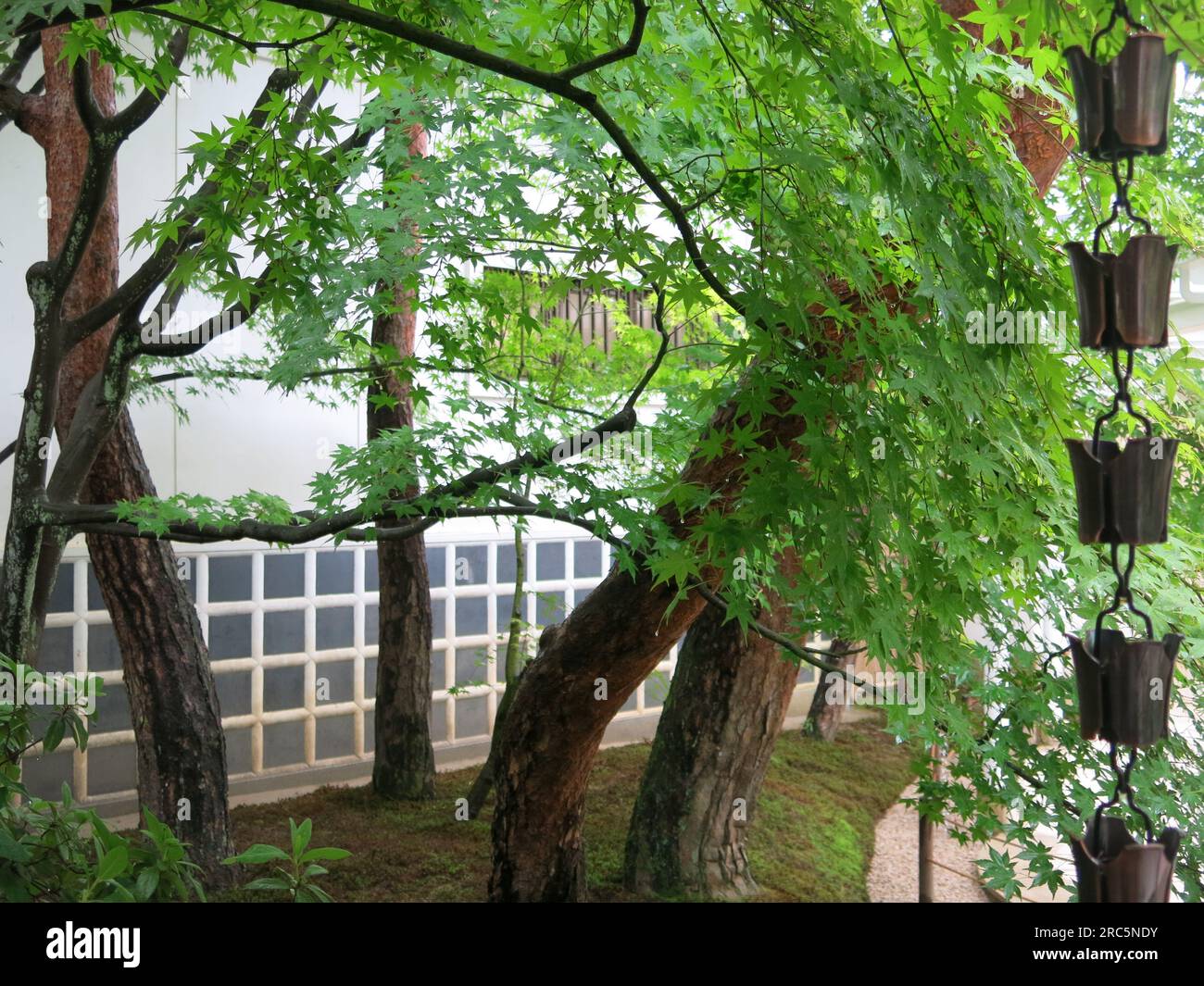 The typical elements of a Japanese garden at the Adachi Museum of Art ...