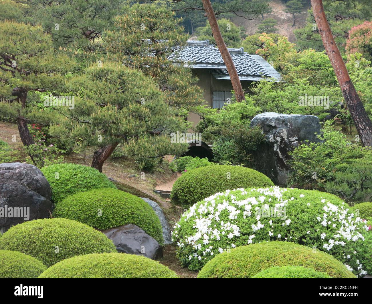 Elements of Japanese garden design: neatly clipped bushes, carefully ...