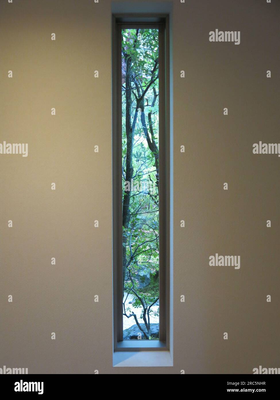 Vertical slit hi-res stock photography and images - Alamy