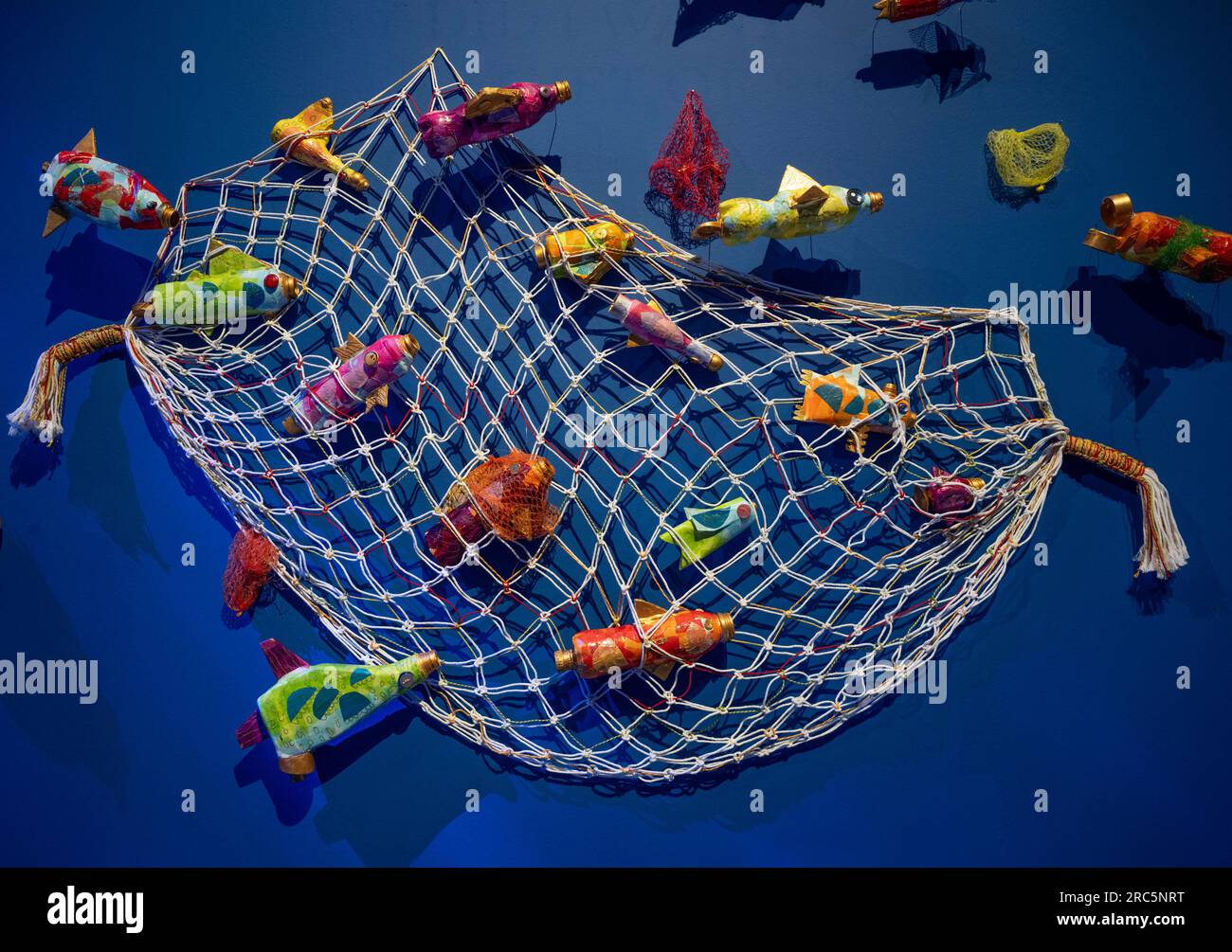 School of fish following one fish hi-res stock photography and images ...