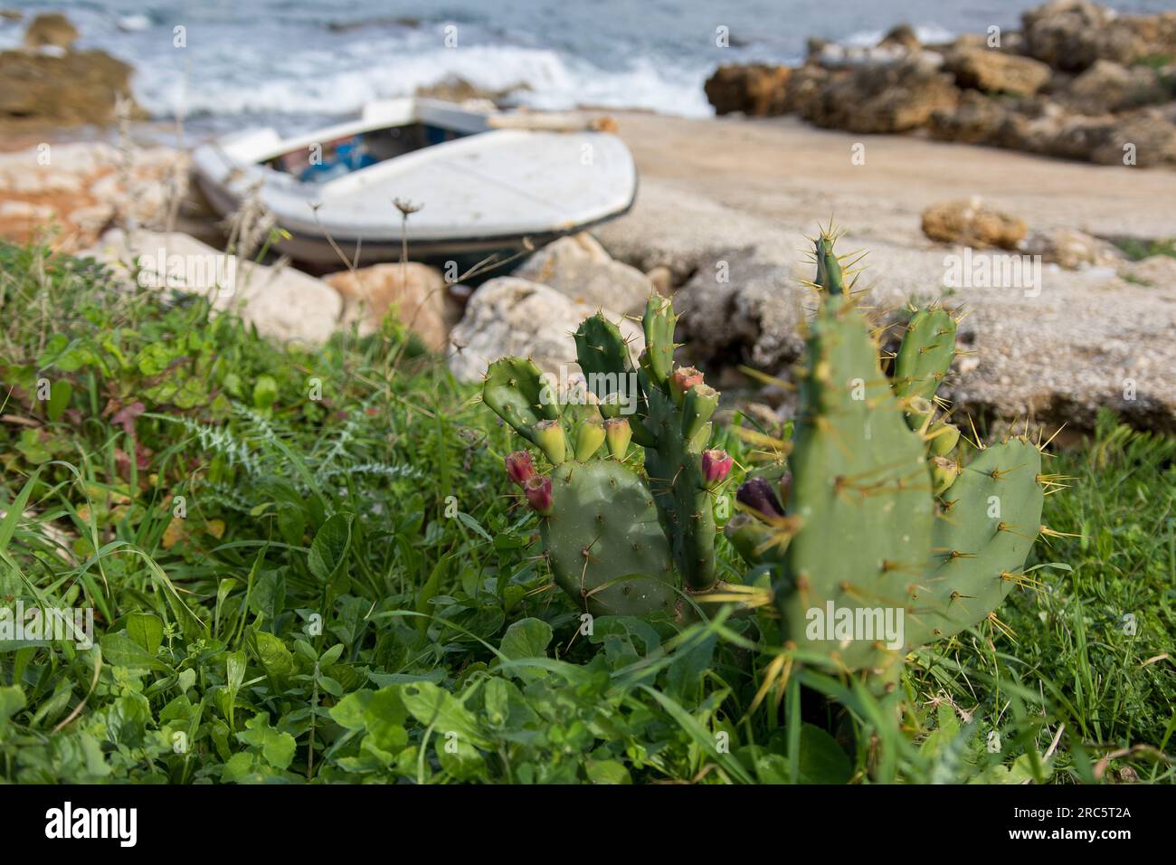 Verde mare hi-res stock photography and images - Alamy