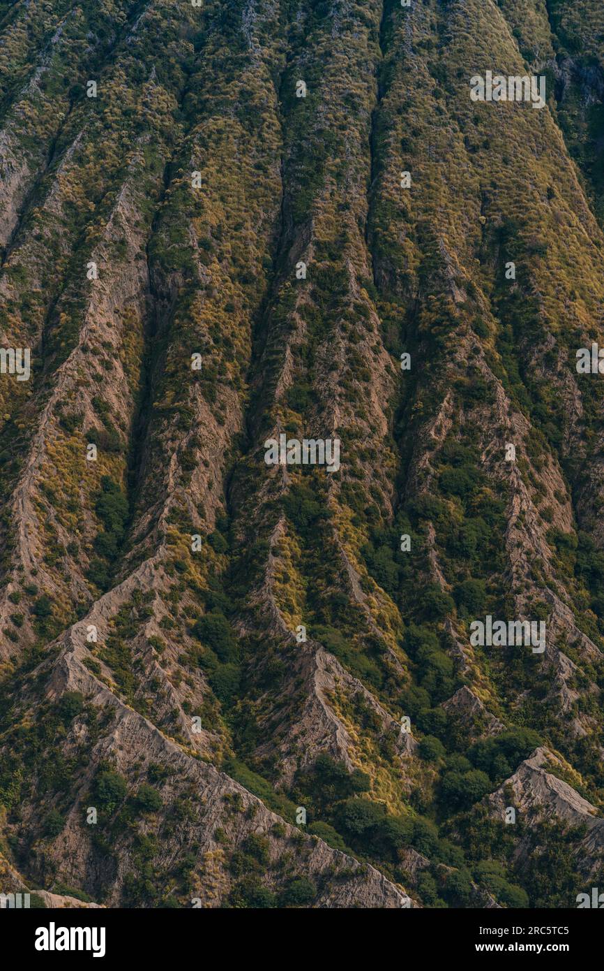 Close up view of Bromo Mount texture with savanna vegetation. Rocky ...