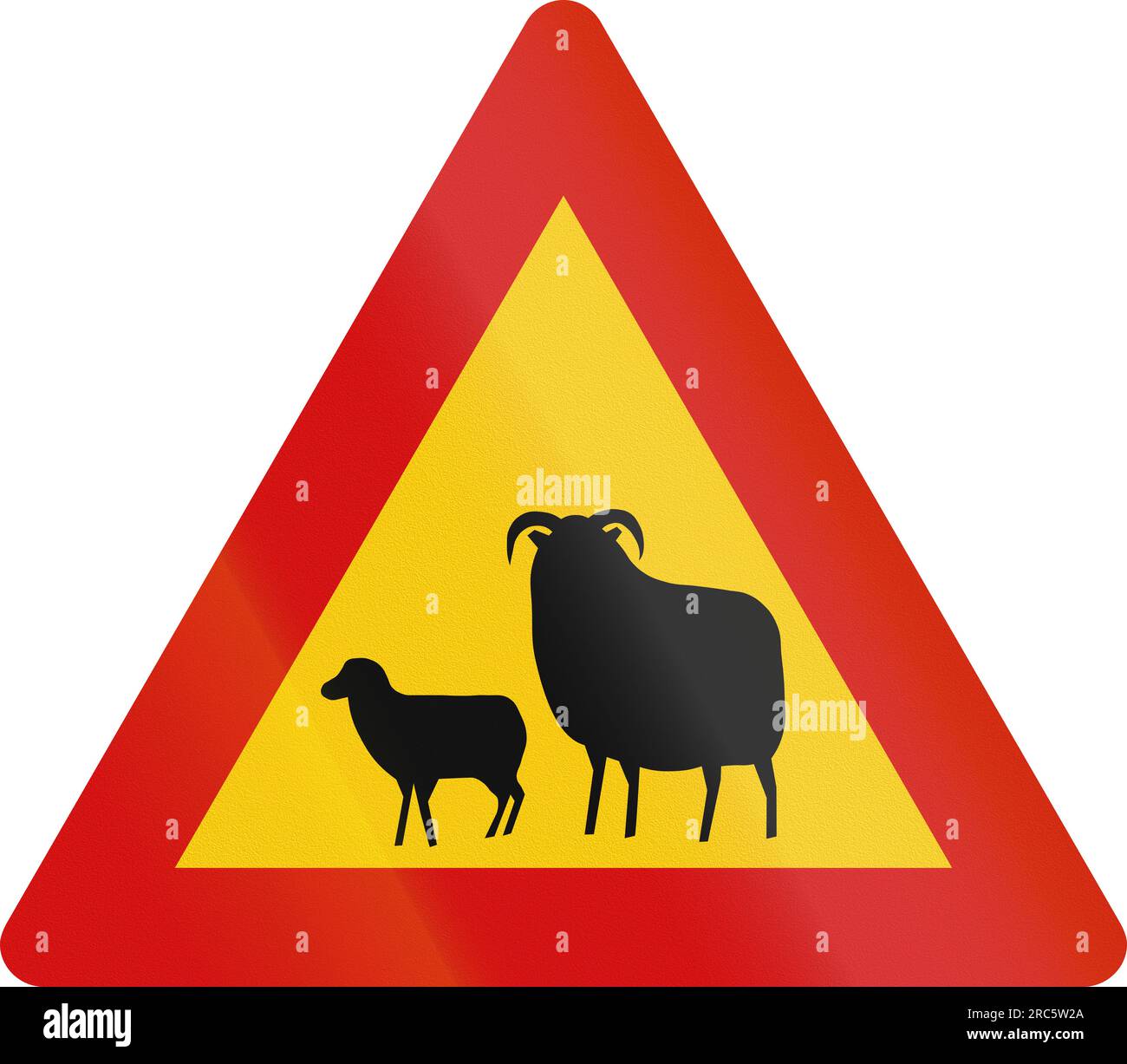 Icelandic sign warning about sheep crossing or standing on the road ...