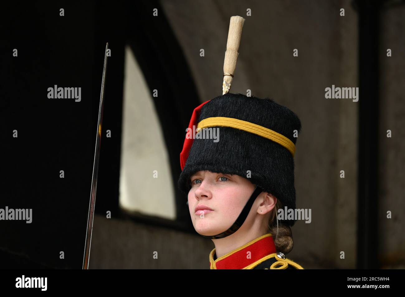 Female Soldier, The King's Troop, Royal Horse Artillery, Horse Guards ...
