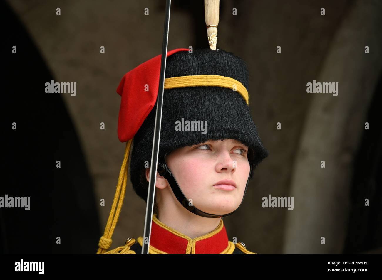 Female Soldier, The King's Troop, Royal Horse Artillery, Horse Guards ...