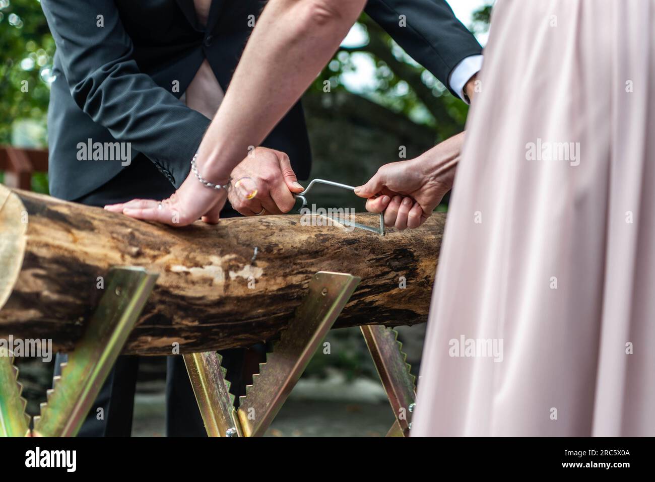 Marrying a tree hi-res stock photography and images - Alamy