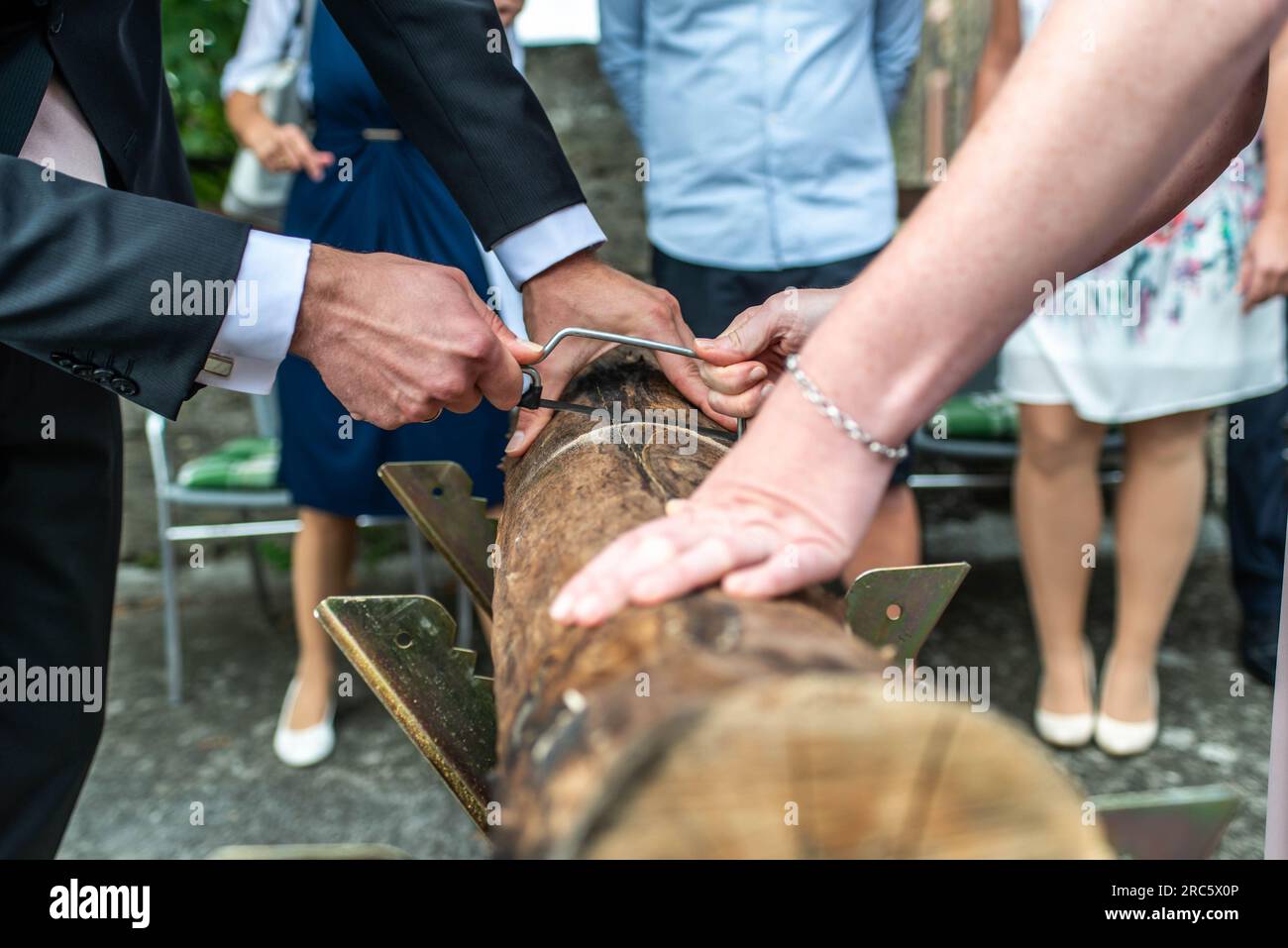 Young bridal couple groom bride sawing a tree trunk together german ...