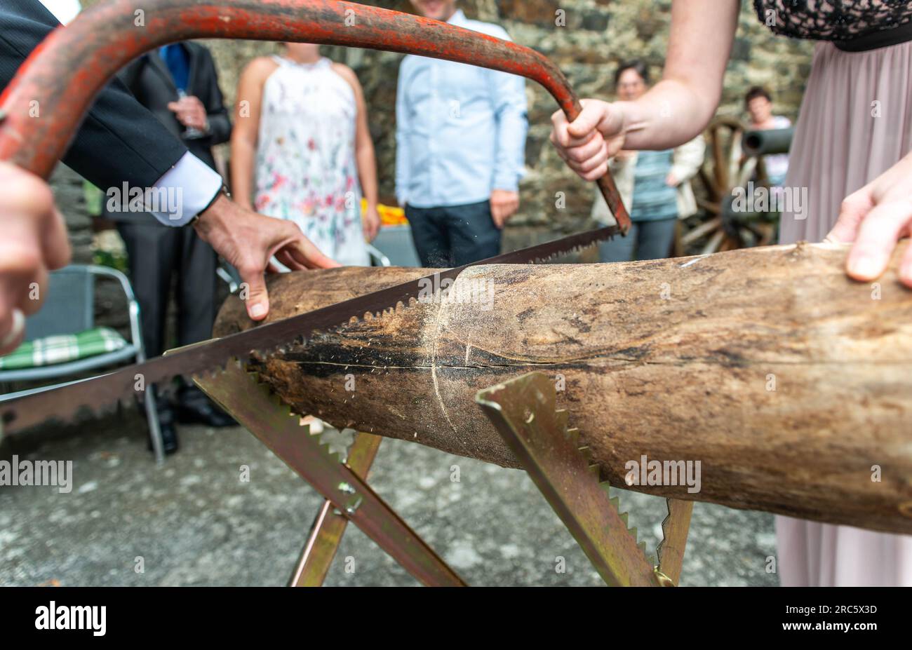 Young bridal couple groom bride sawing a tree trunk together german ...