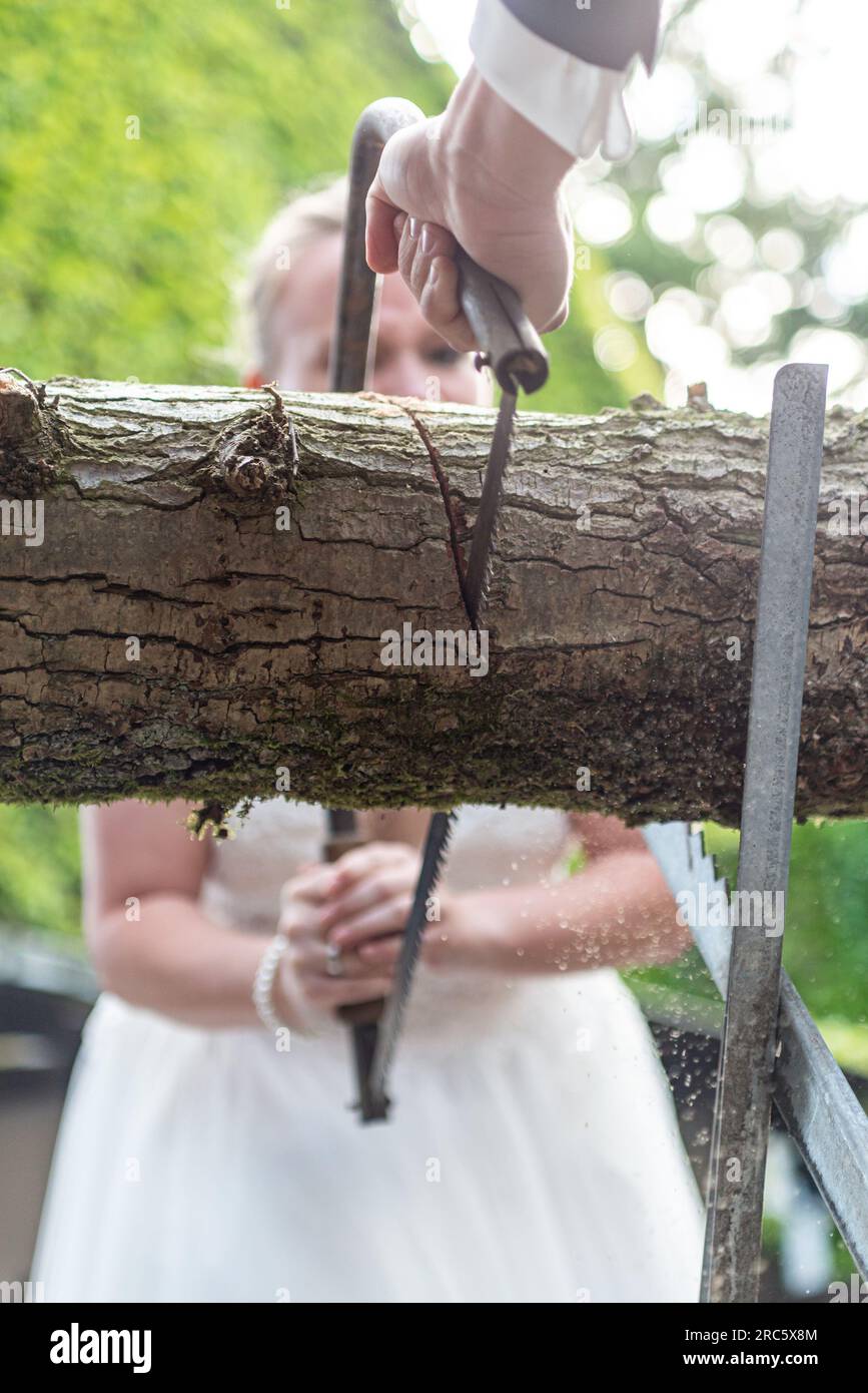 Young bridal couple groom bride sawing a tree trunk together german ...