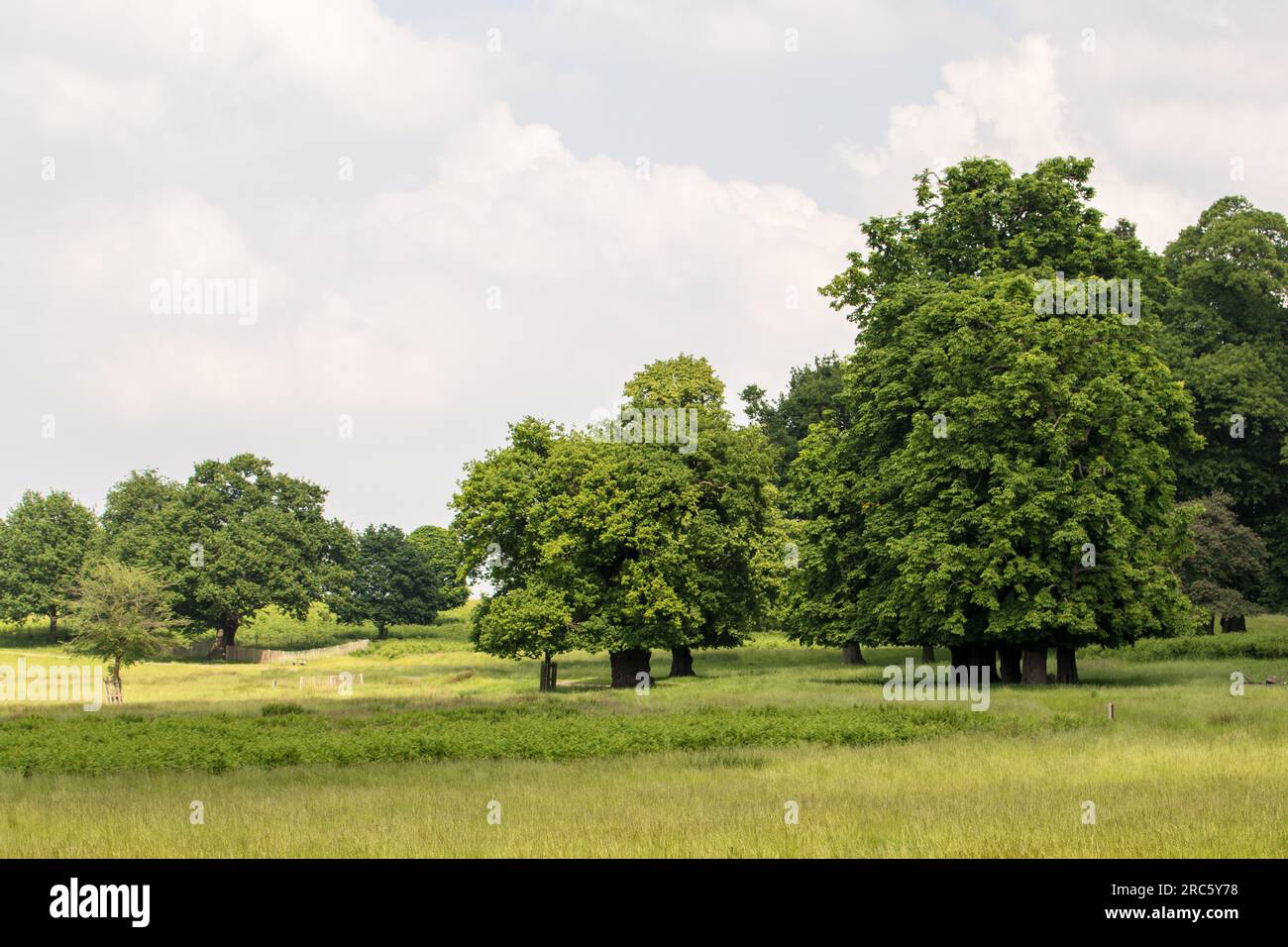 Beautiful view footage of the landscape taken in London Parks Stock ...