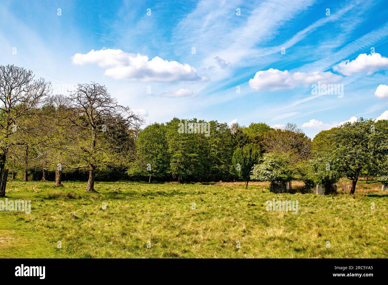 Beautiful view footage of the landscape taken in London Parks Stock ...