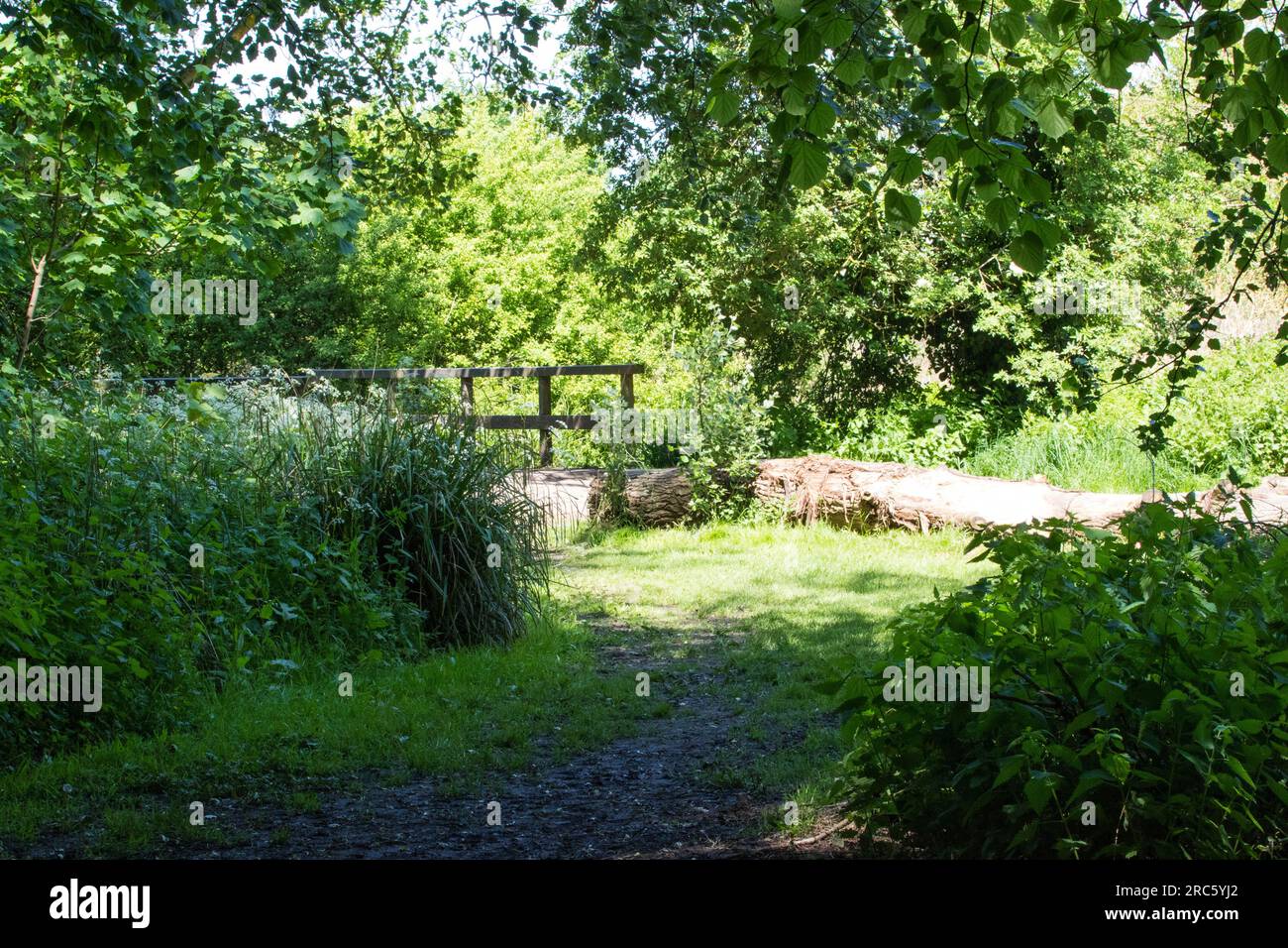 Beautiful view footage of the landscape taken in London Parks Stock ...