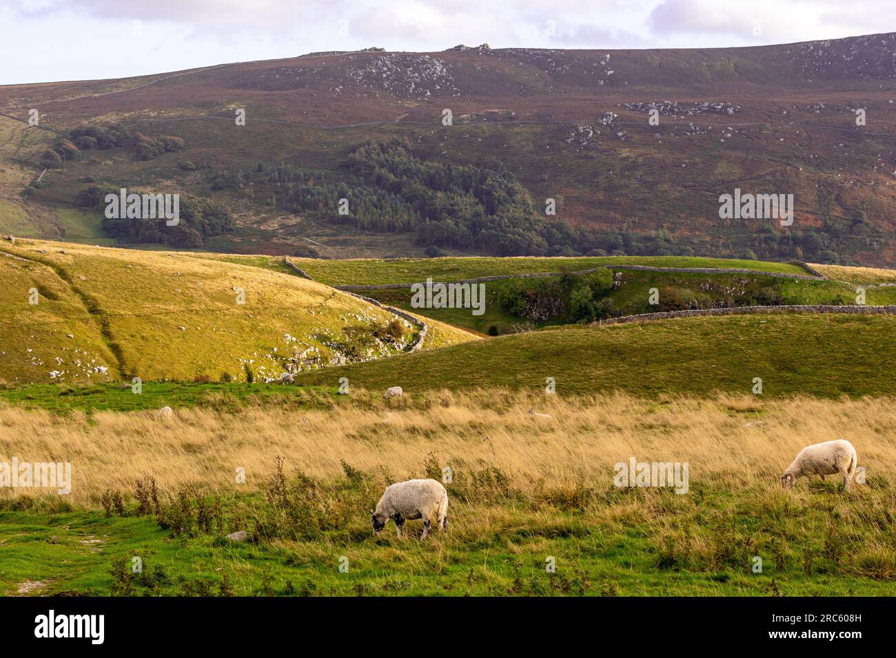 Stunning view footage of the nature taken in Yorkshire with a camera ...