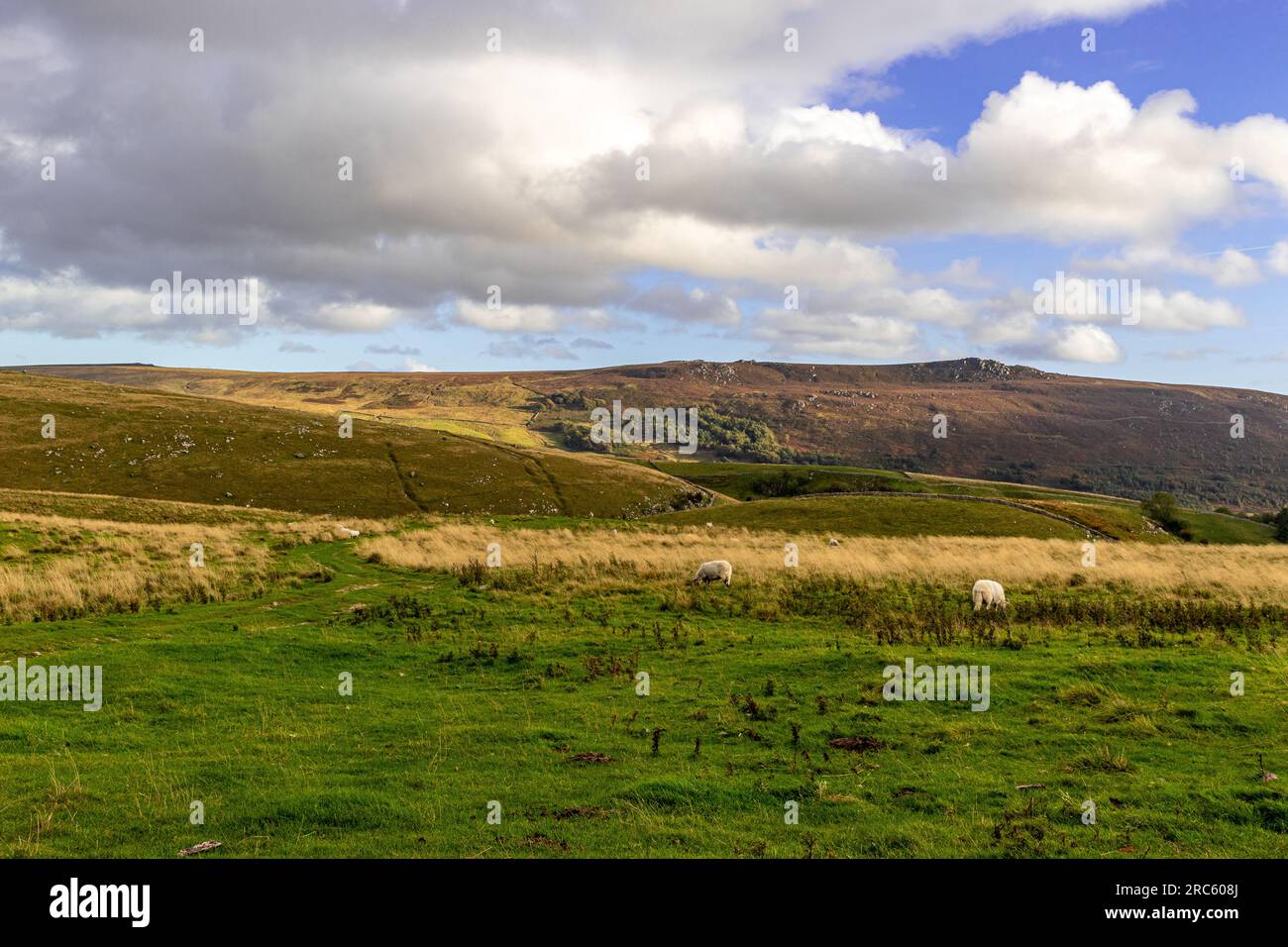 Stunning view footage of the nature taken in Yorkshire with a camera ...