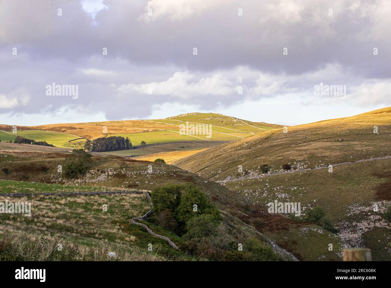 Stunning view footage of the nature taken in Yorkshire with a camera ...