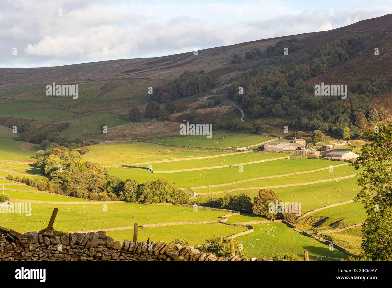 Stunning view footage of the nature taken in Yorkshire with a camera ...
