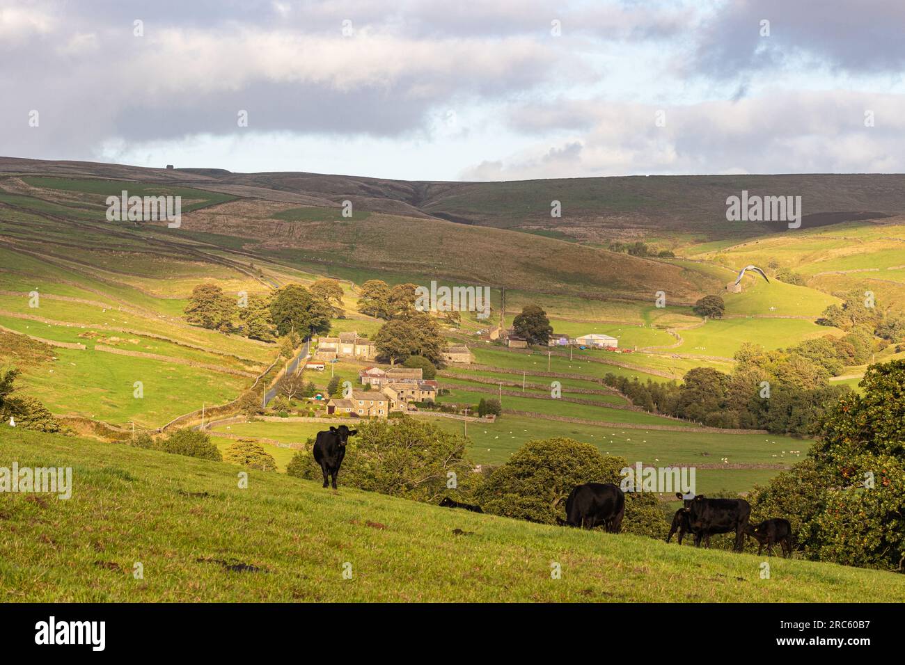 Stunning view footage of the nature taken in Yorkshire with a camera ...