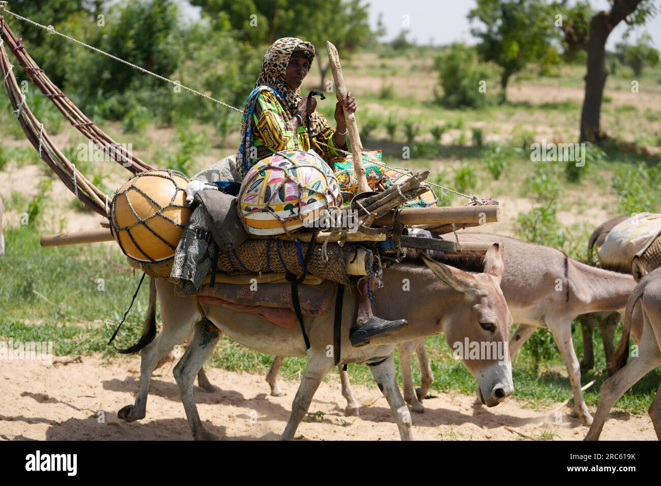 A Nomad Fulani woman travels on a donkey along Gashua road in Nigeria ...