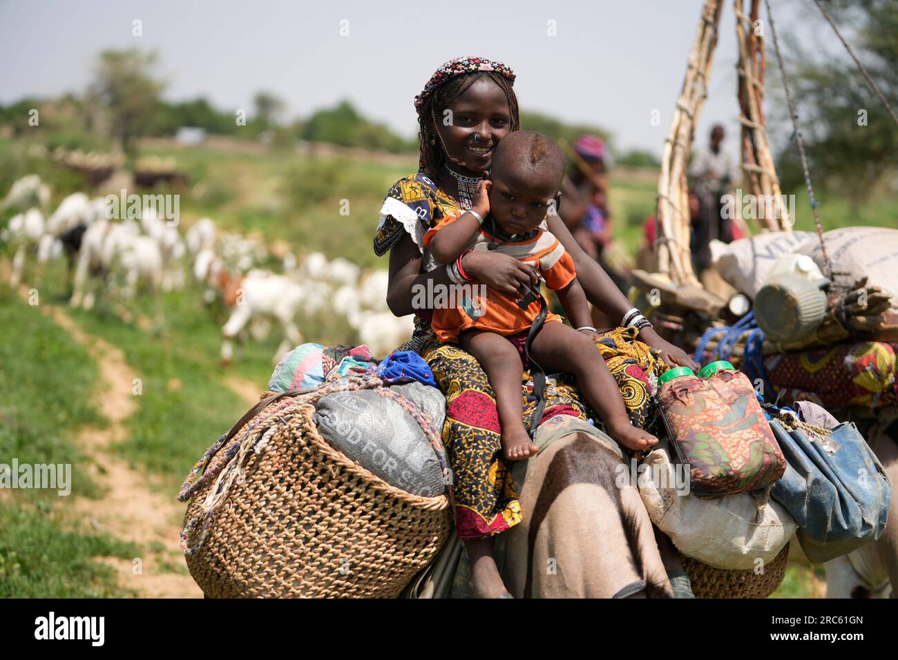 Nomad Fulani children travel on a donkey along Gashua road in Nigeria ...
